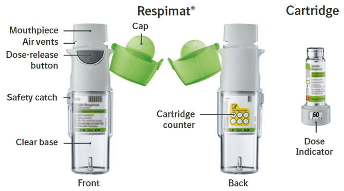 BI SPIOLTO Respimat Digital Leaflet