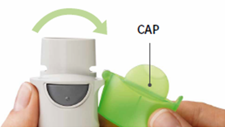 BI SPIOLTO Respimat Digital Leaflet