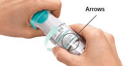 BI Spiriva Respimat Digital Leaflet